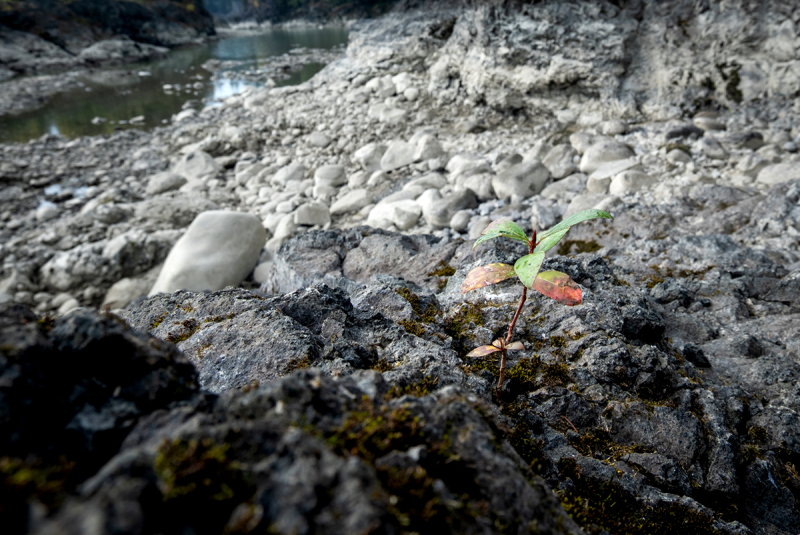 Fort George Canyon | Caledonia Ramblers